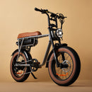 TRIGGER GEN 2 Electric Bike – CRUZR
